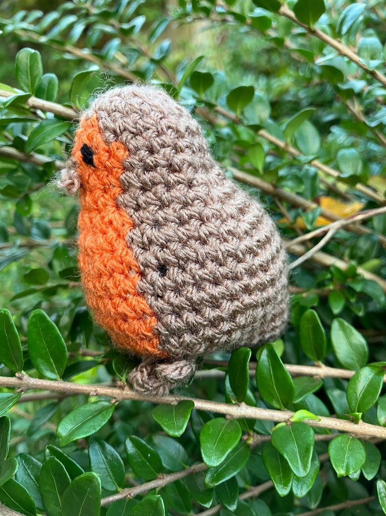No Sew Robin Crochet Pattern, No Sew Robin Amigurumi Pattern, Easy ...