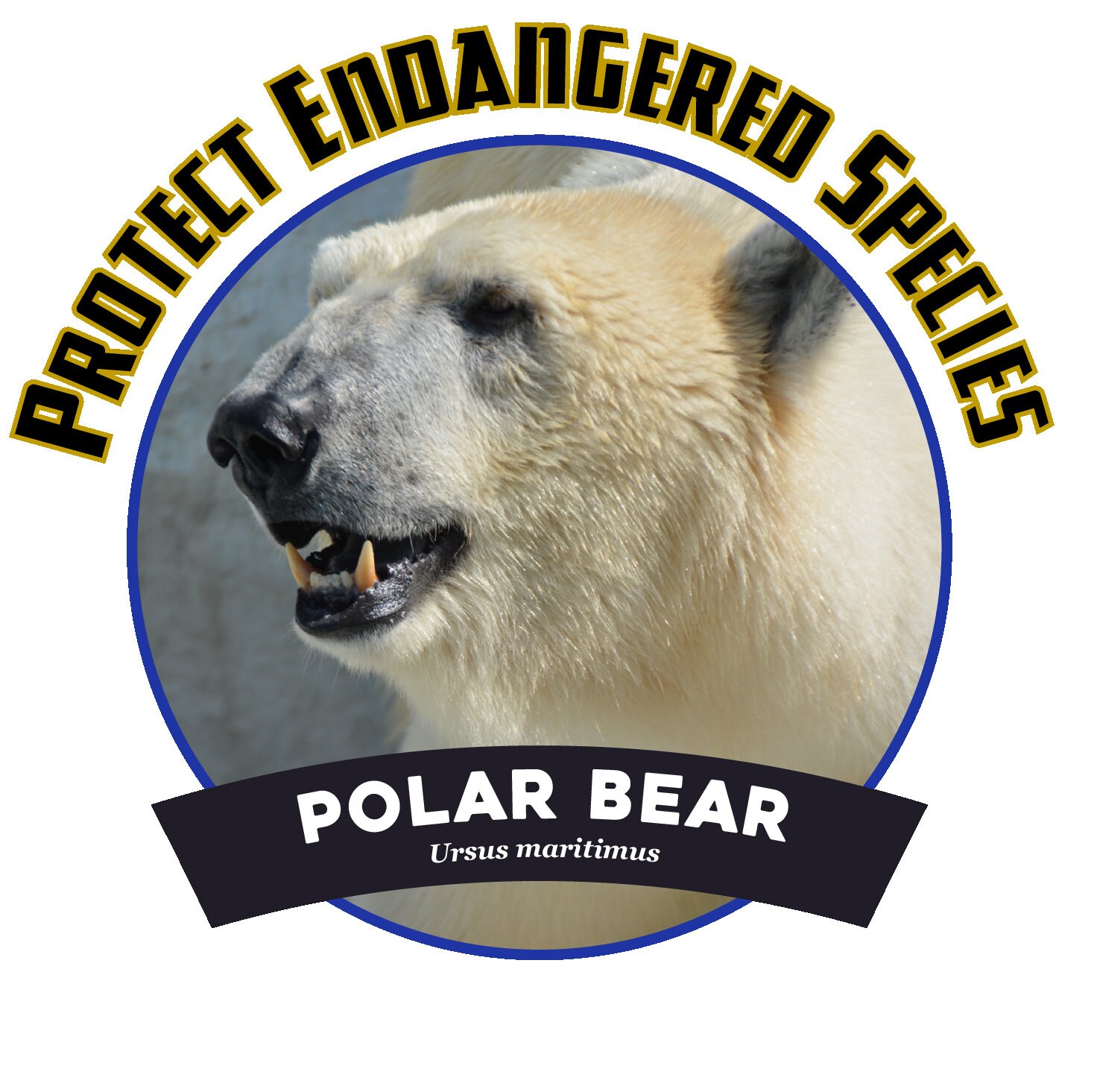 Polar Bear Protect - Endangered Species Unisex T-shirt. FREE SHIPPING ...