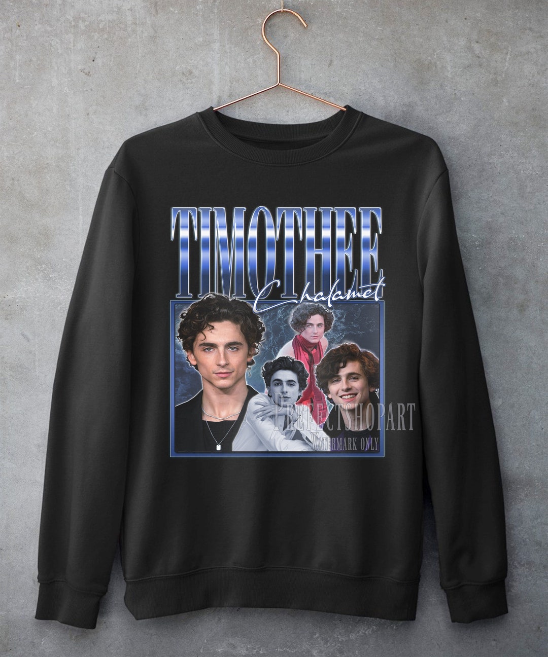 Timothee Chalamet Vintage Sweatshirt, the Kinngg Homage Sweashirt ...
