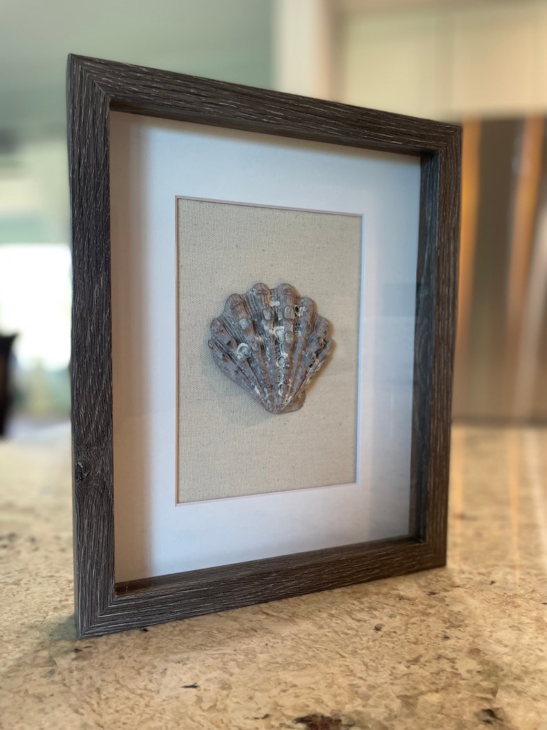 Rustic Scallop 8" X 10" Shadowbox in Gray Color & Creme Canvas ...