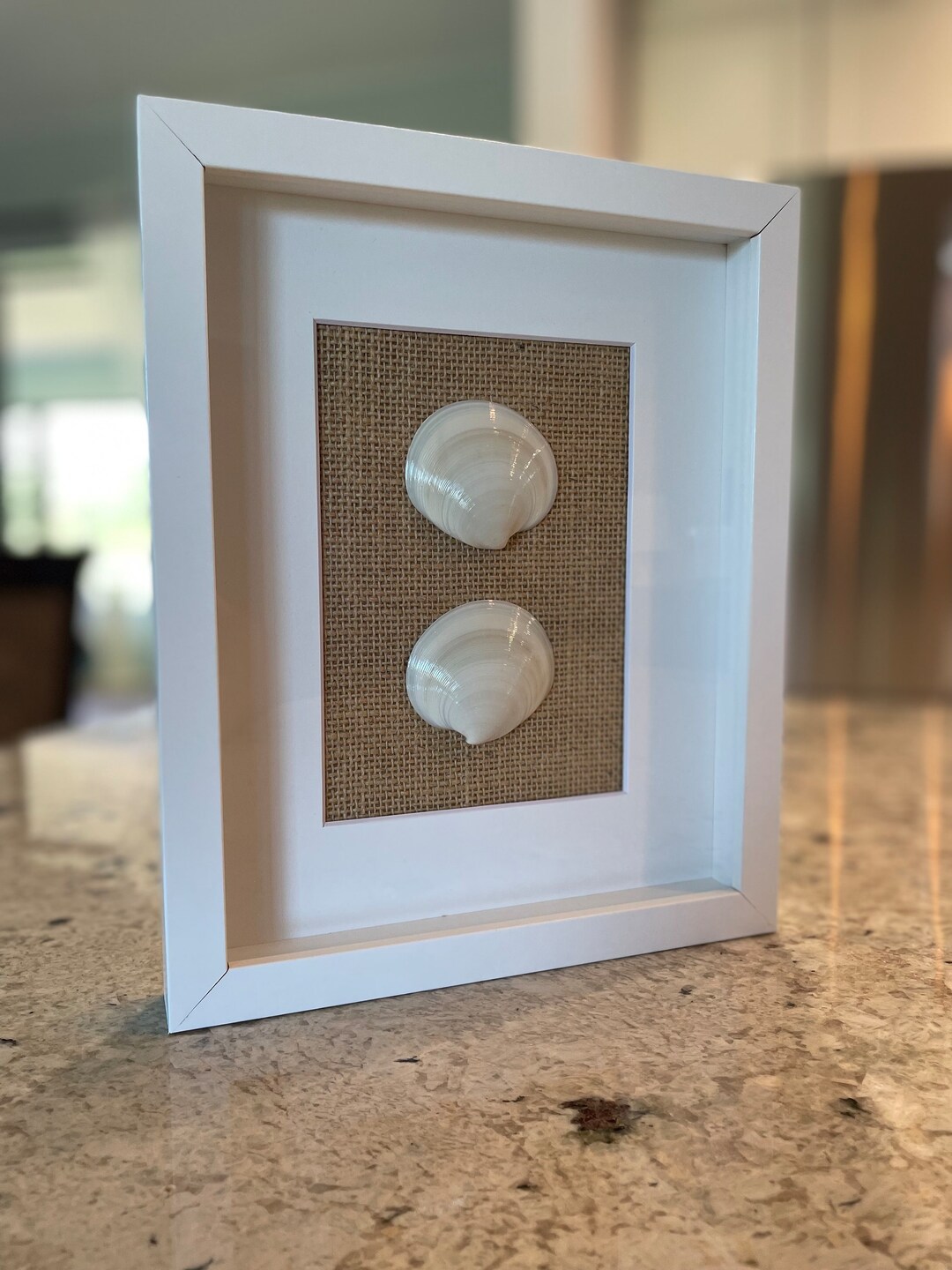Clam Shell Duo 8 X 10 Shadowbox in White & Natural Burlap Background ...