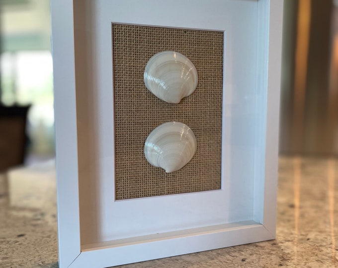 Clam Shell Duo 8 X 10 Shadowbox in White & Natural Burlap Background ...