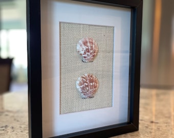 Scallop Duo 11 X 14 Shadowbox in Sand Color & Linen Background Wall Art ...