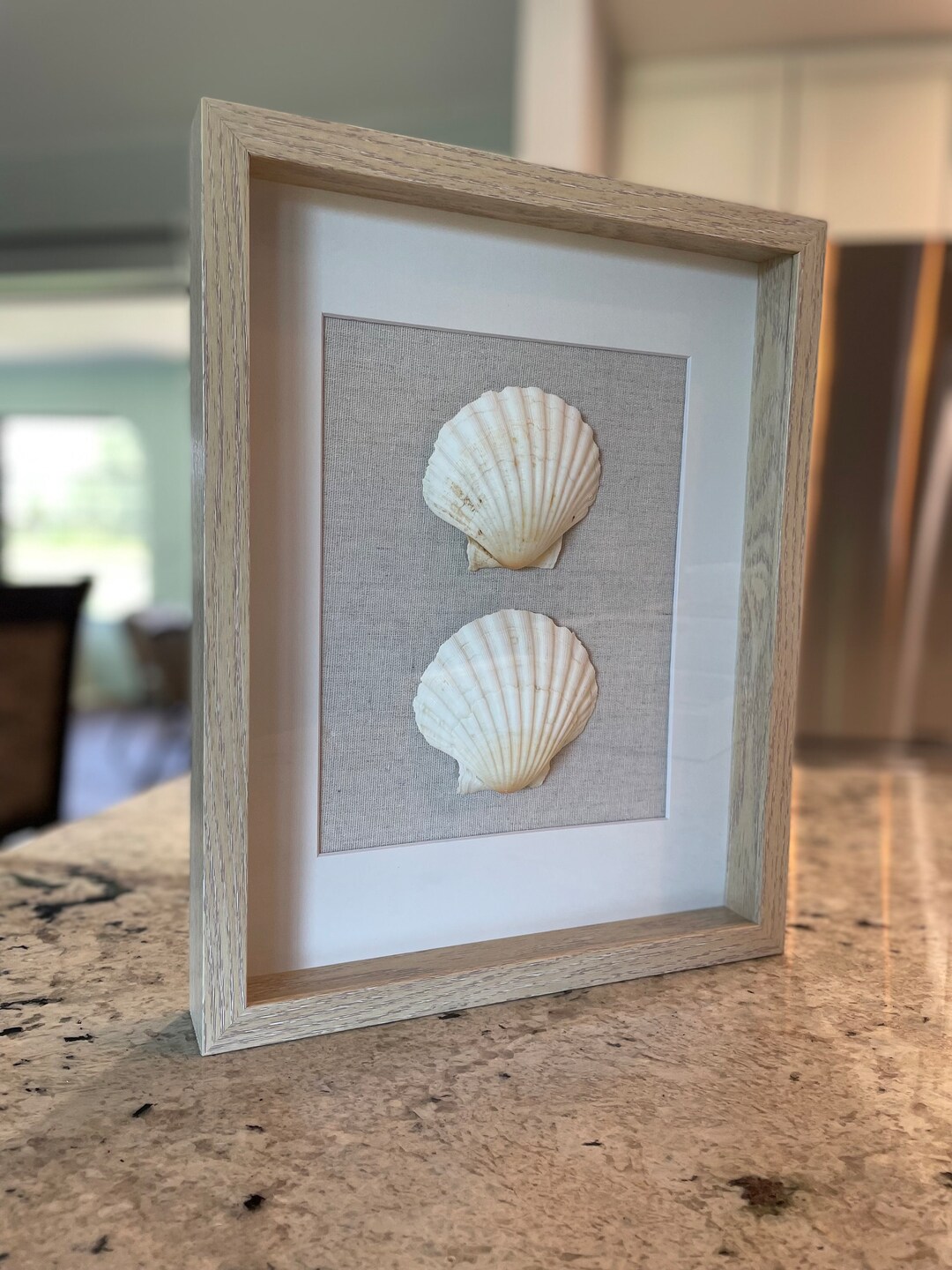 Scallop Duo 11" X 14" Shadowbox in Sand Color & Linen Background - Wall ...