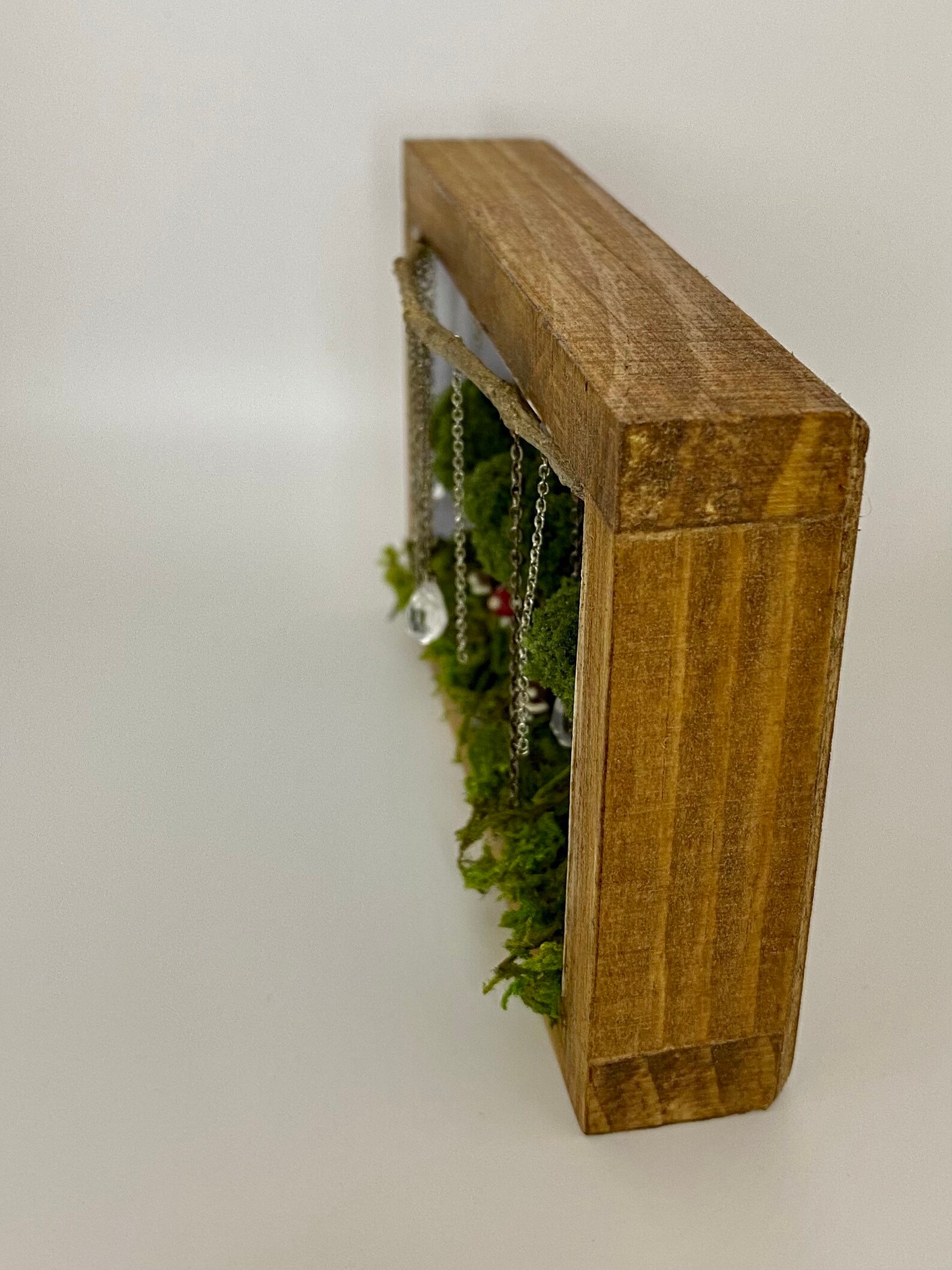 Nature Shadow Box - Etsy