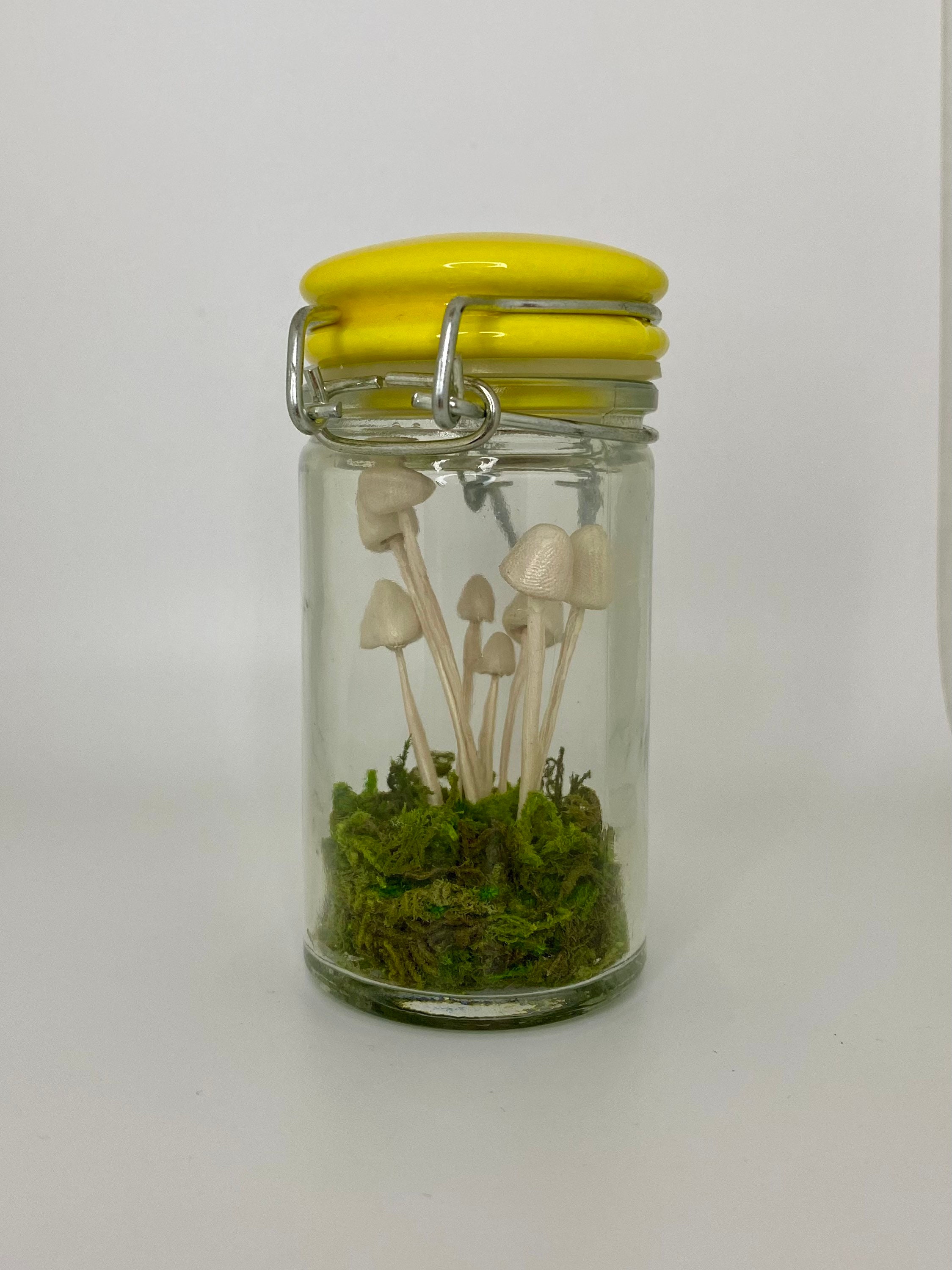 Mushrooms in a Jar - Etsy