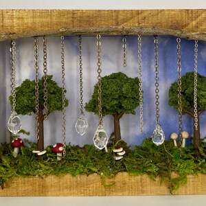 Nature Shadow Box - Etsy