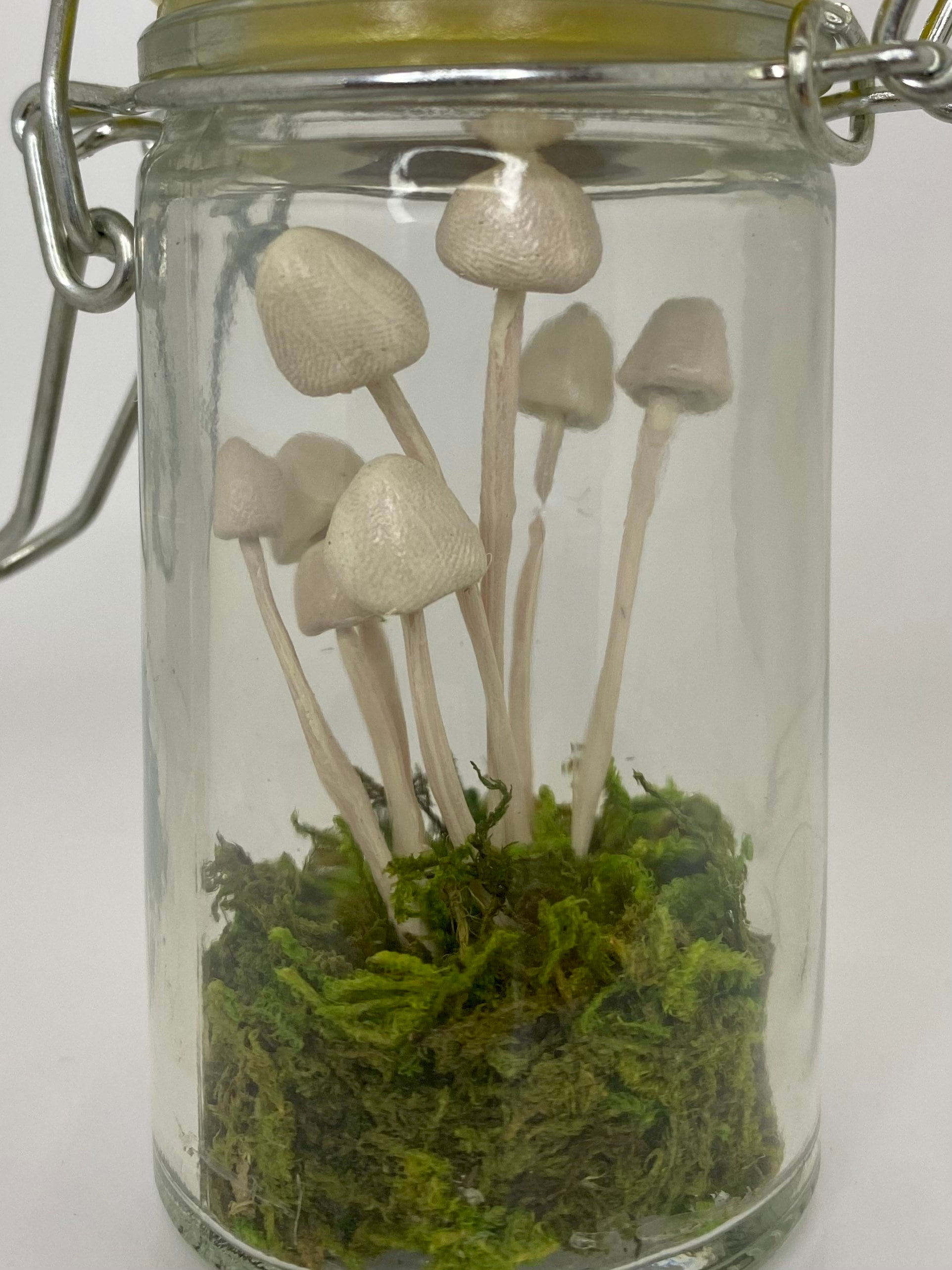 Mushrooms in a Jar - Etsy