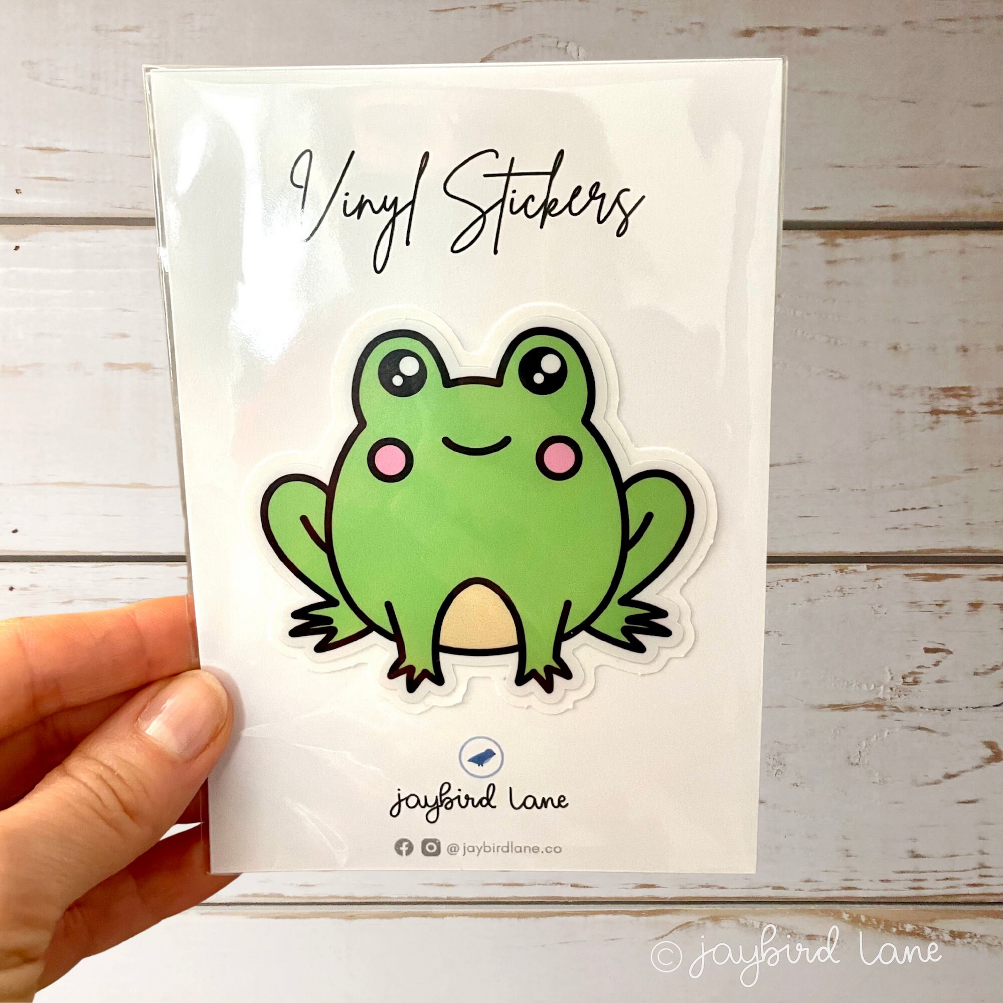 Frog Sticker, Vinyl Sticker, Laptop Sticker, Water Bottle Sticker, Cute ...