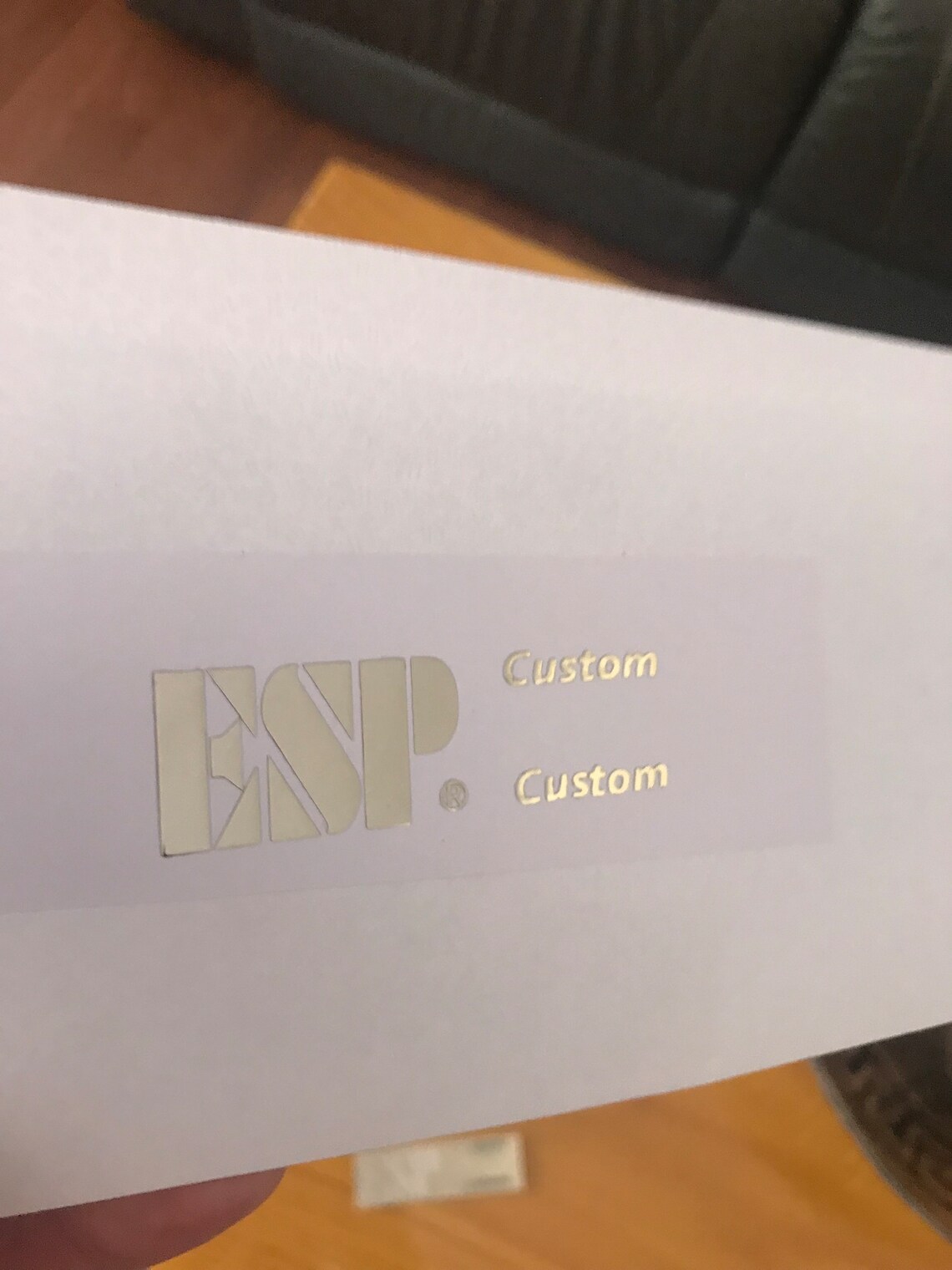 ESP Custom Guitar Decal Headstock Restoration Metal Logo Decal - Etsy