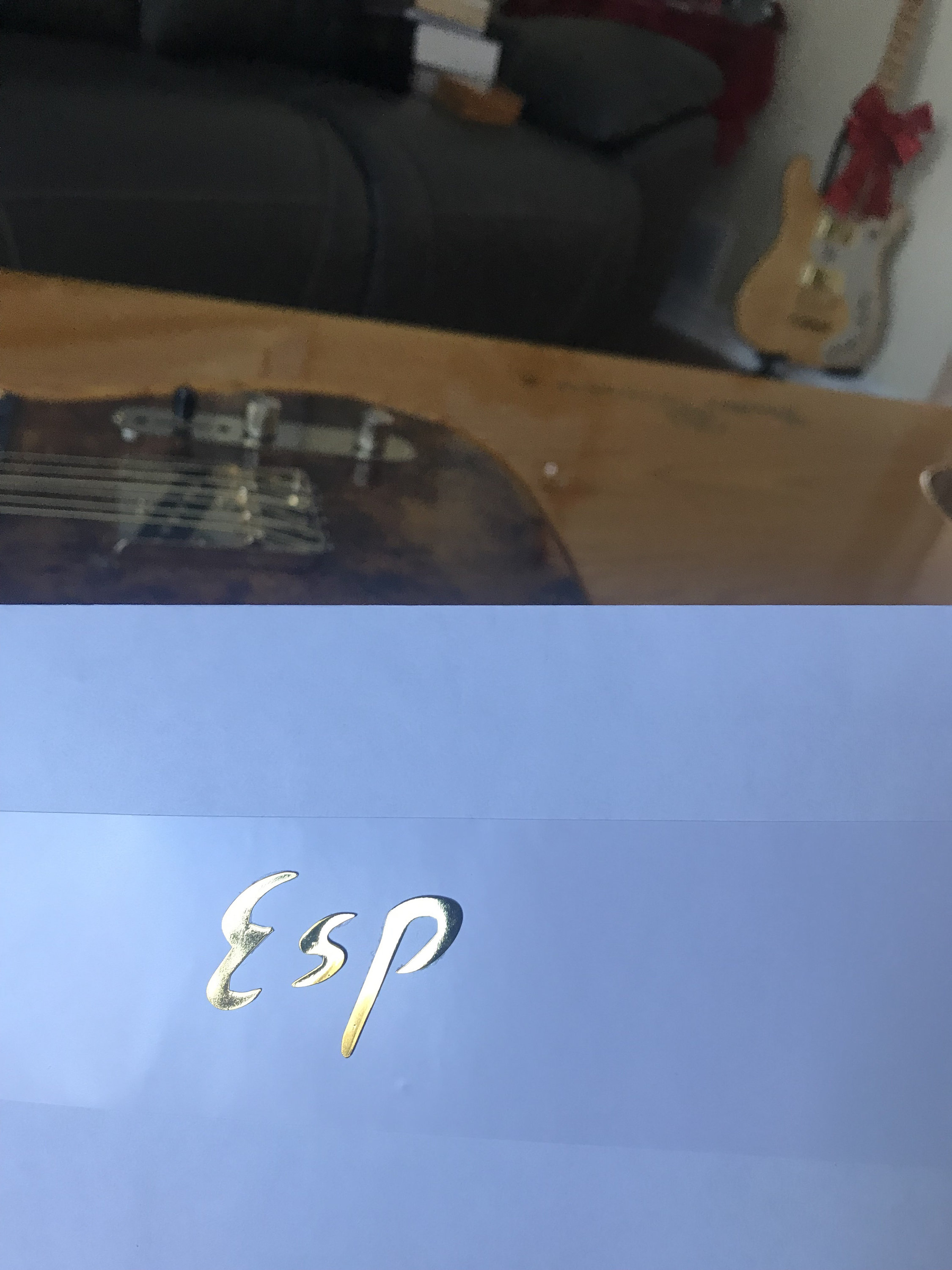 ESP Guitar Decal Headstock Restoration Metal Logo Sticker - Etsy