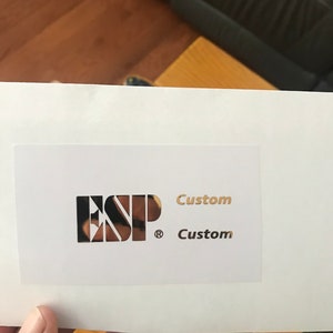 ESP Custom Guitar Decal Headstock Restoration Metal Logo Decal M86b - Etsy