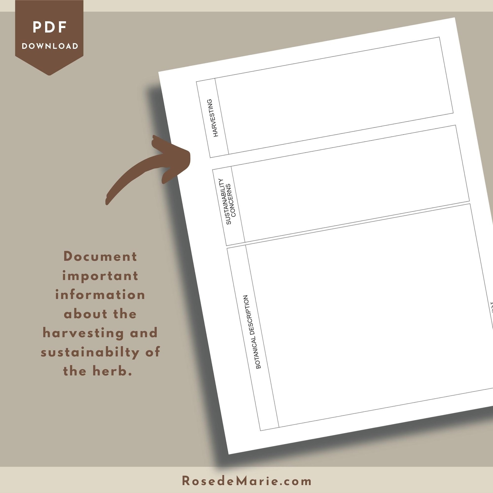 Herbal Monograph Template | Materia Medica |herbal Studies |apothecary ...