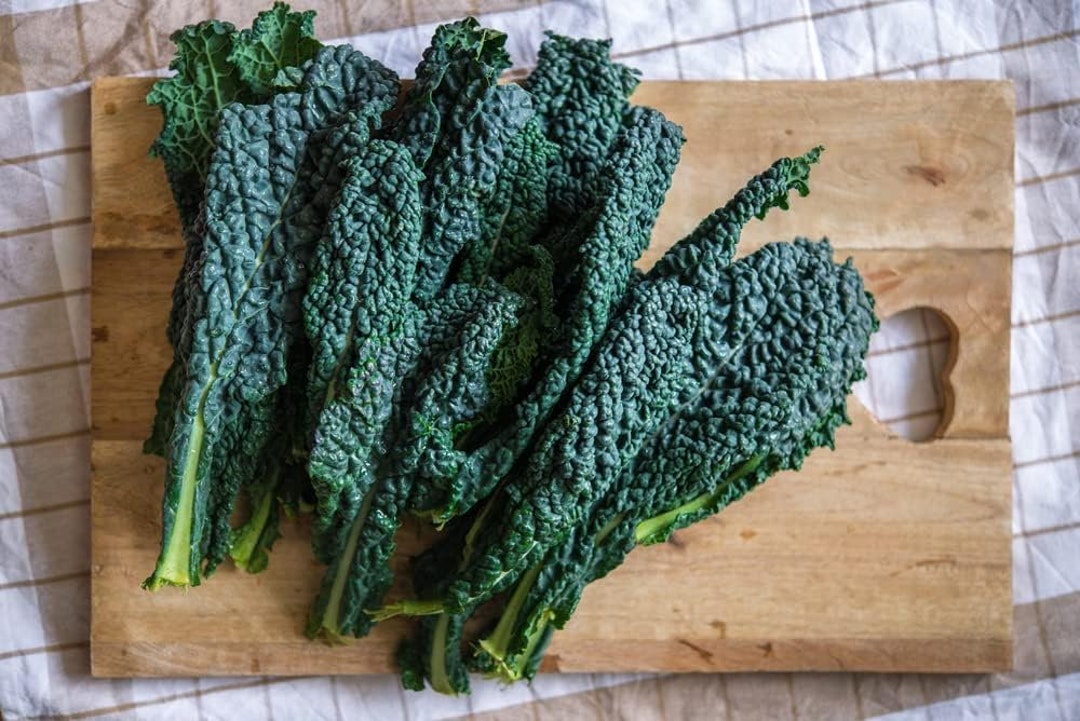 Black Magic Kale Seeds for Planting 200 Seeds Grow Your - Etsy