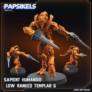 Sapient Humanoid Low Ranked Templar - 06 - Etsy