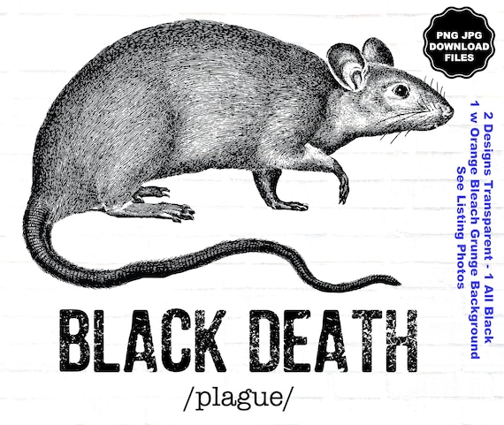 Black Rats Plague