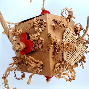 Foraging Box for Birds Rabbit Rats Small Animals Natural - Etsy