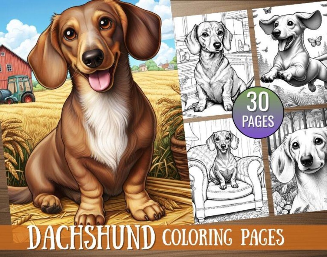 30 Dachshund Coloring Pages, Dachshund Dog, Dog Breeds, Coloring Pages ...