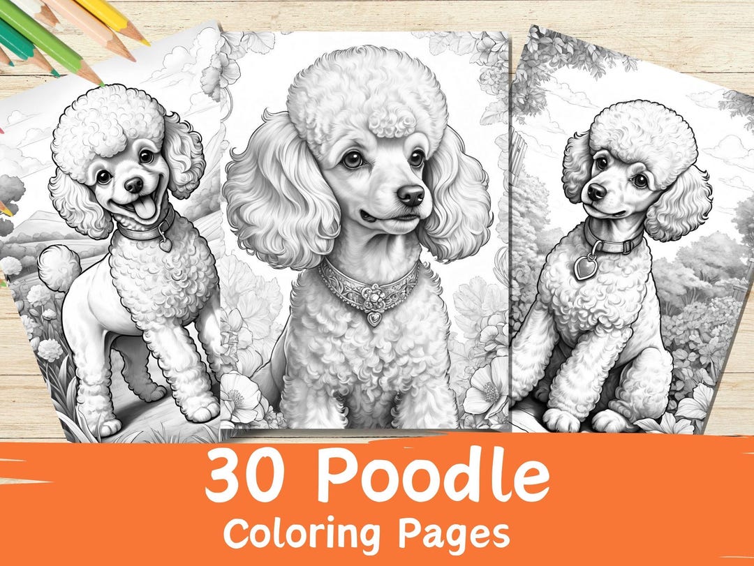 30 Poodle Coloring Pages, Poodle, Coloring Pages, Adult Coloring ...
