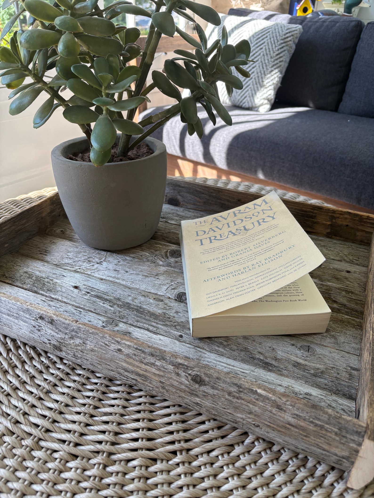 Rustic Reclaimed Wood Tray: Farmhouse Coffee Table Centerpiece - Etsy