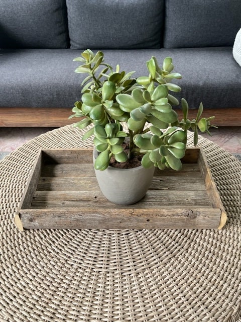 Rustic Reclaimed Wood Tray: Farmhouse Coffee Table Centerpiece - Etsy