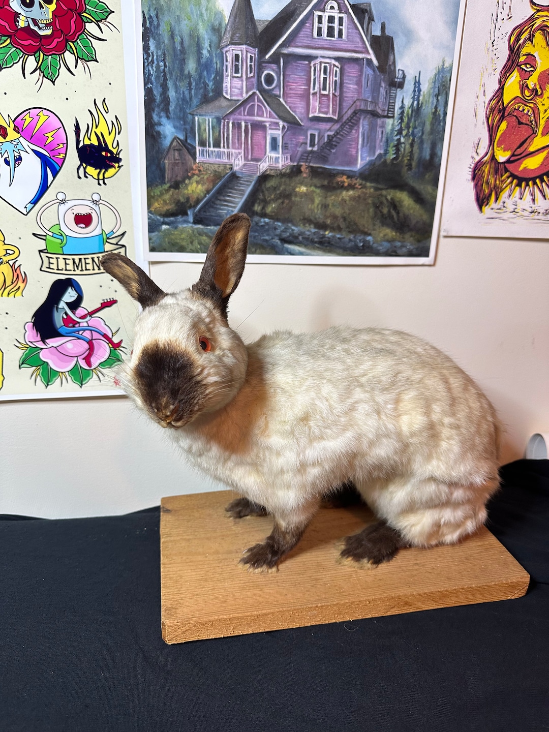 Vintage Taxidermy White Rabbit With Red Eyes - Etsy