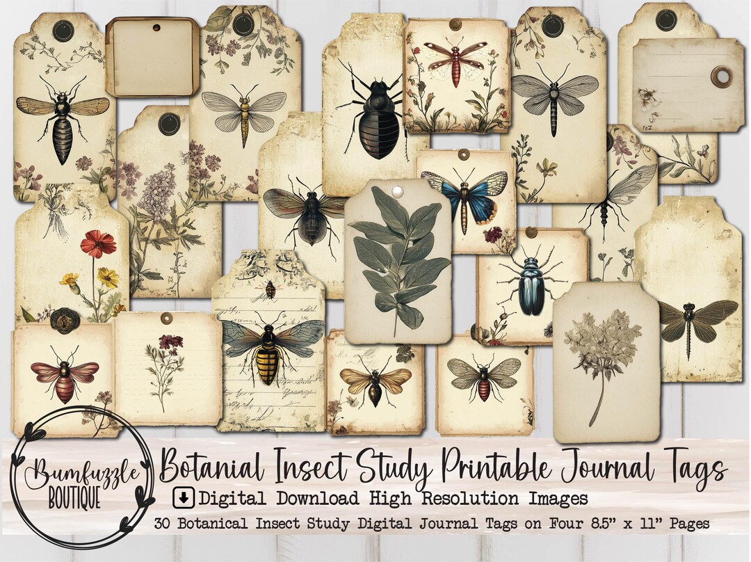 Botanical Insect Study Journal Tags: Vintage Ephemera, Printable Labels ...