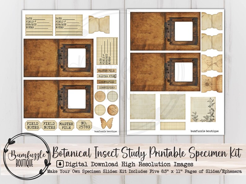 Botanical Insect Specimen Slides Kit – Vintage Bug Study Ephemera, Junk ...