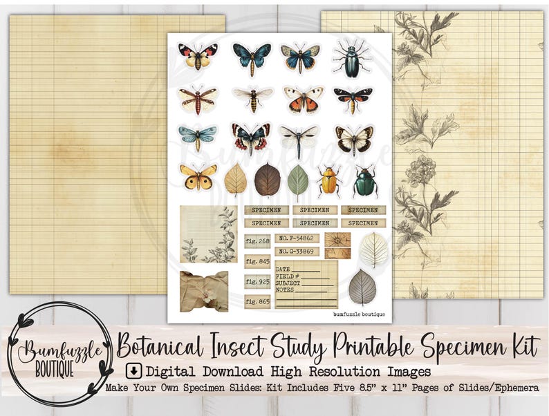 Botanical Insect Specimen Slides Kit – Vintage Bug Study Ephemera, Junk ...