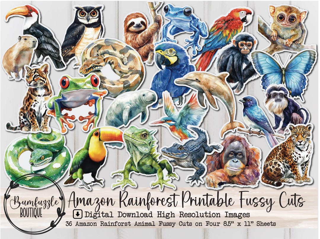 Amazon Rainforest Animal Fussy Cuts - Printable Junk Journal Ephemera ...