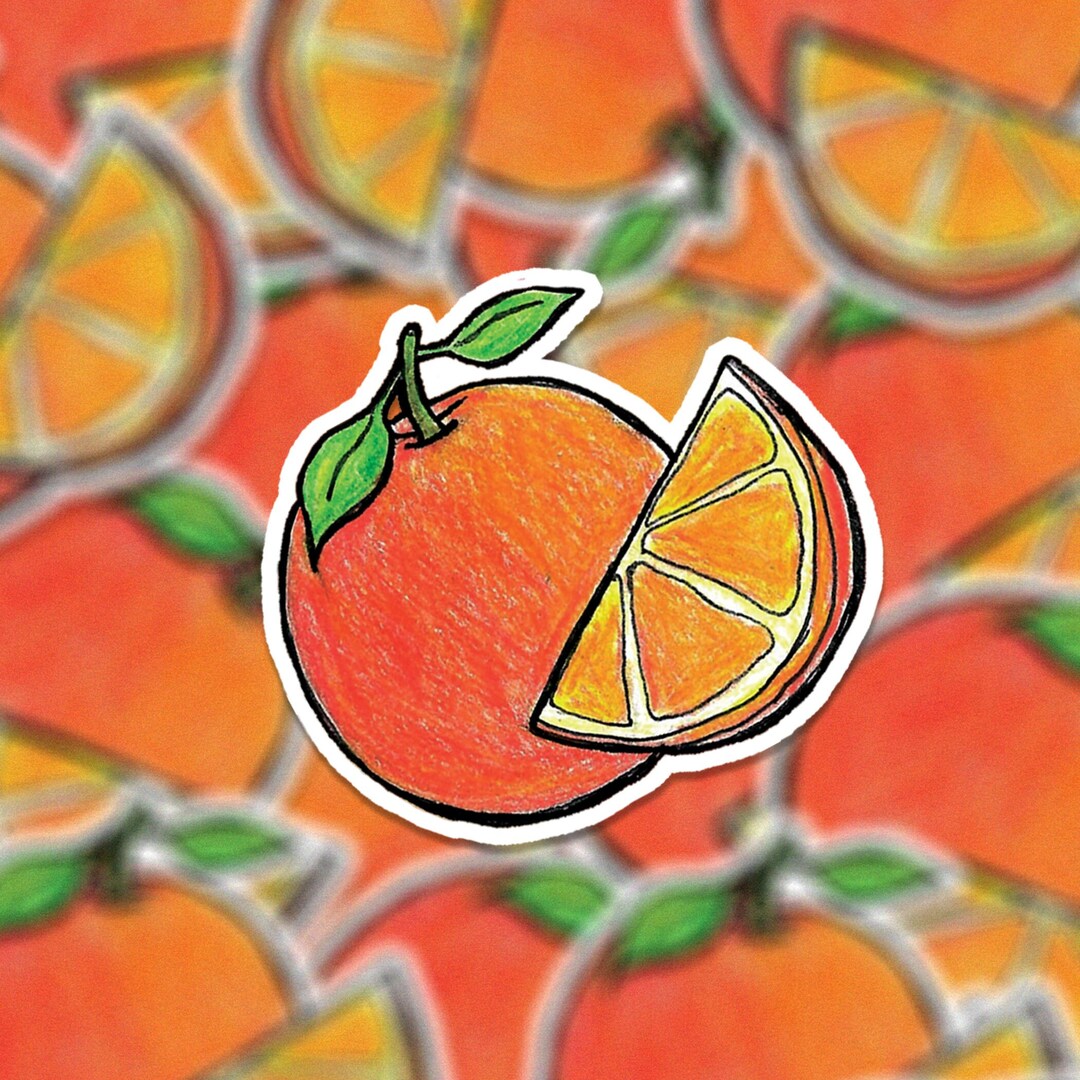 Orange Fruit Sticker // Hand-drawn Fruit Vinyl Laptop Sticker, Decal ...