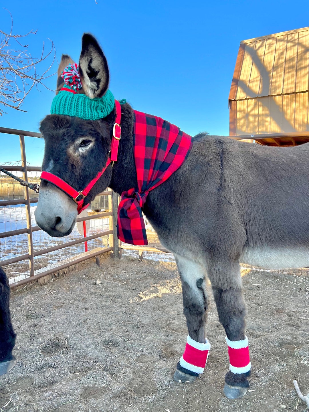 Badass Burro Beanie - Custom Made to Order - Etsy