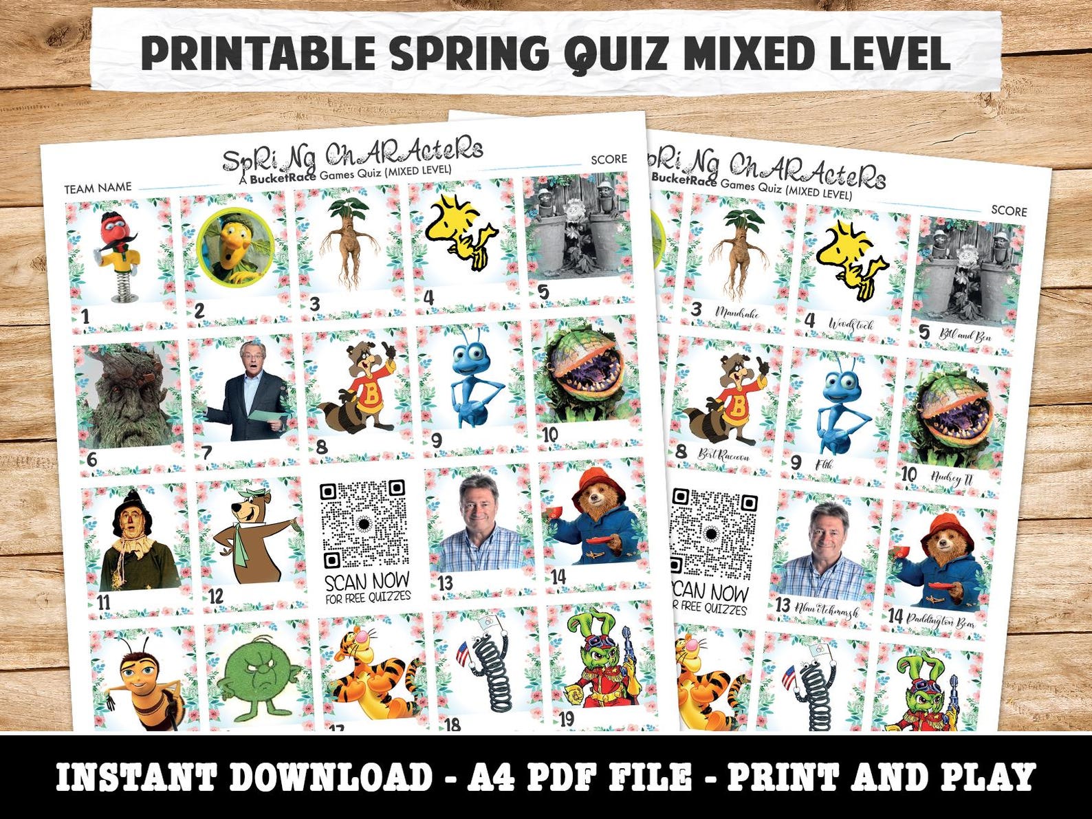 Printable Spring Character Picture Quiz Mixed Level - Etsy