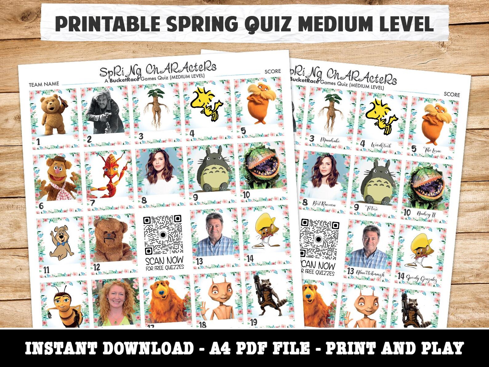 Printable Spring Character Picture Quiz Medium Level - Etsy