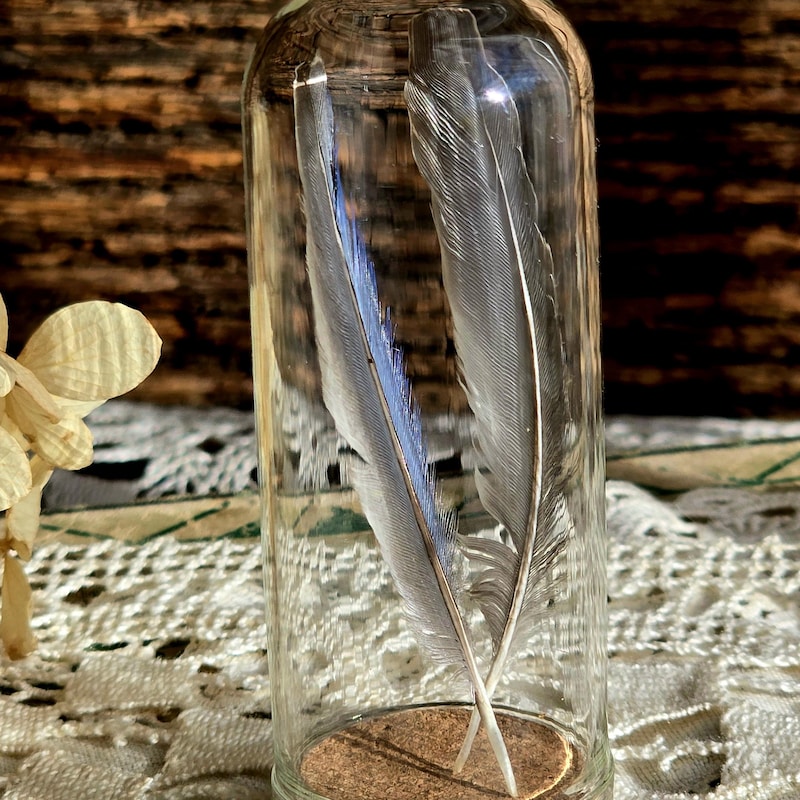 Glass Angel Feather - Etsy