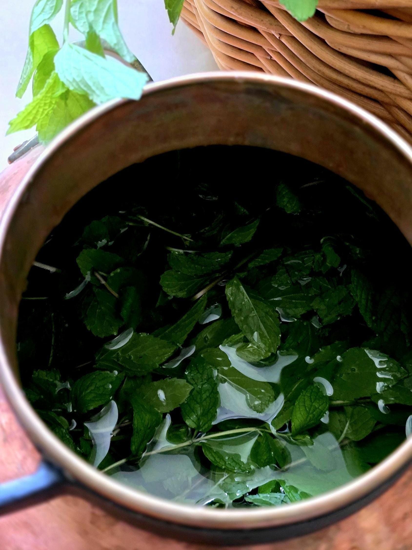 Spearmint Botanical Hydrosol – Cooling Mint Face Toner and Body Mist ...