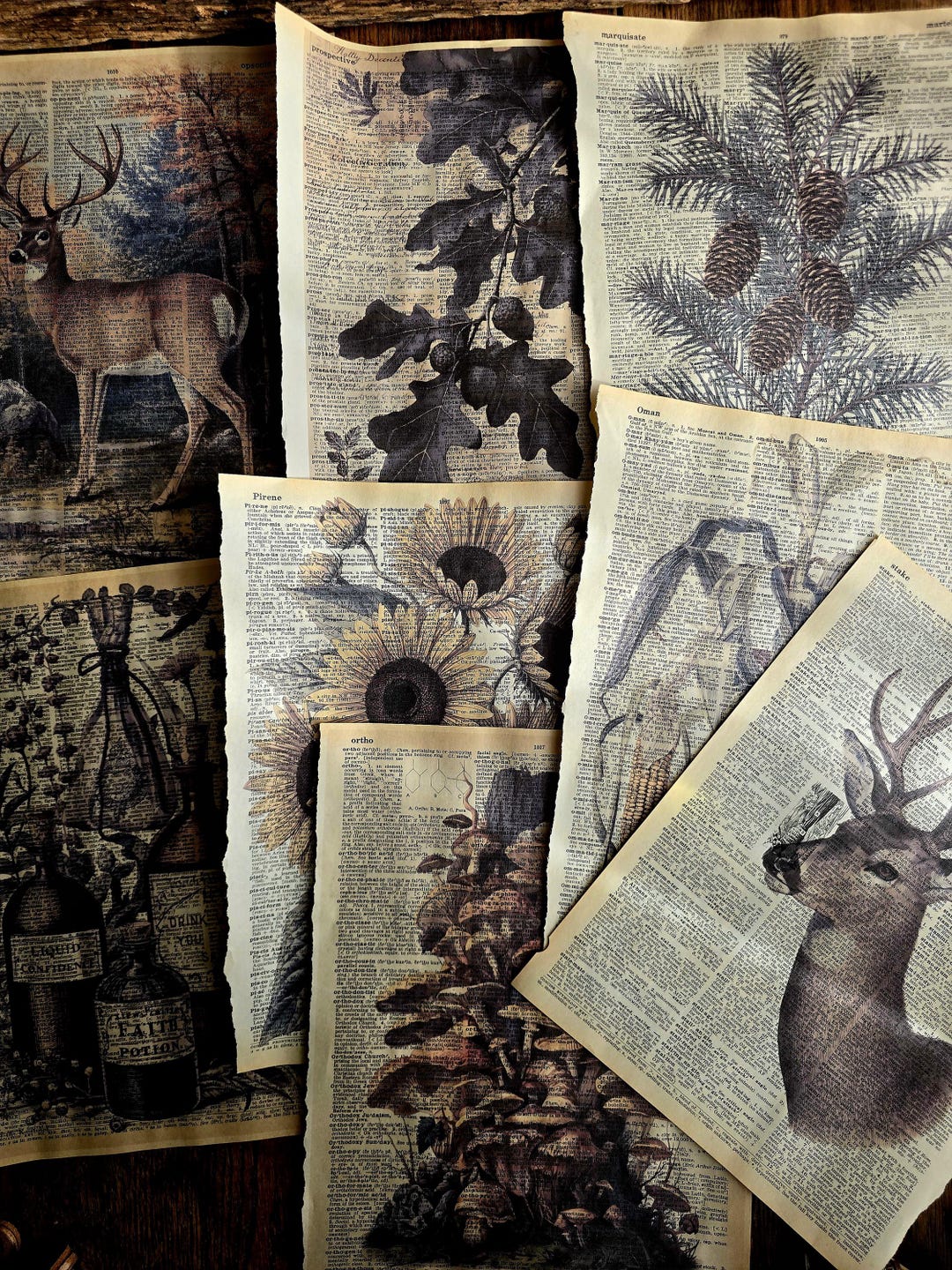 Vintage Botanical Ephemera & Woodland Prints on Original Dictionary ...