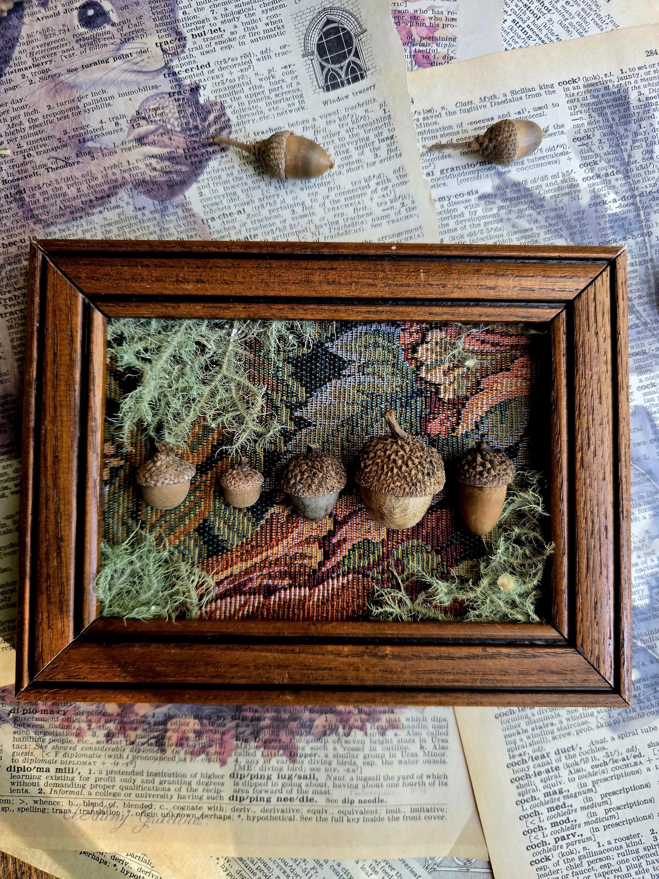 Framed Woodland Acorn & Usnea Display – Vintage Tapestry Botanical Wall ...