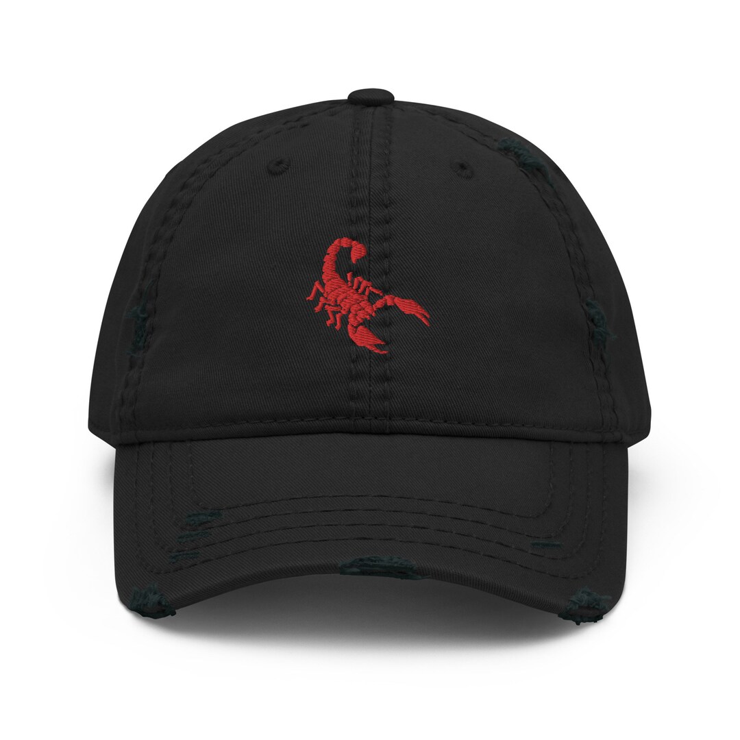 Scorpion Embroidered Hat | November Birthday | Scorpio Season | Zodiac ...