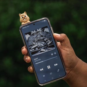 Stray Kids Skzoo Phone Hippers| Handmade K-pop-inspired Character ...