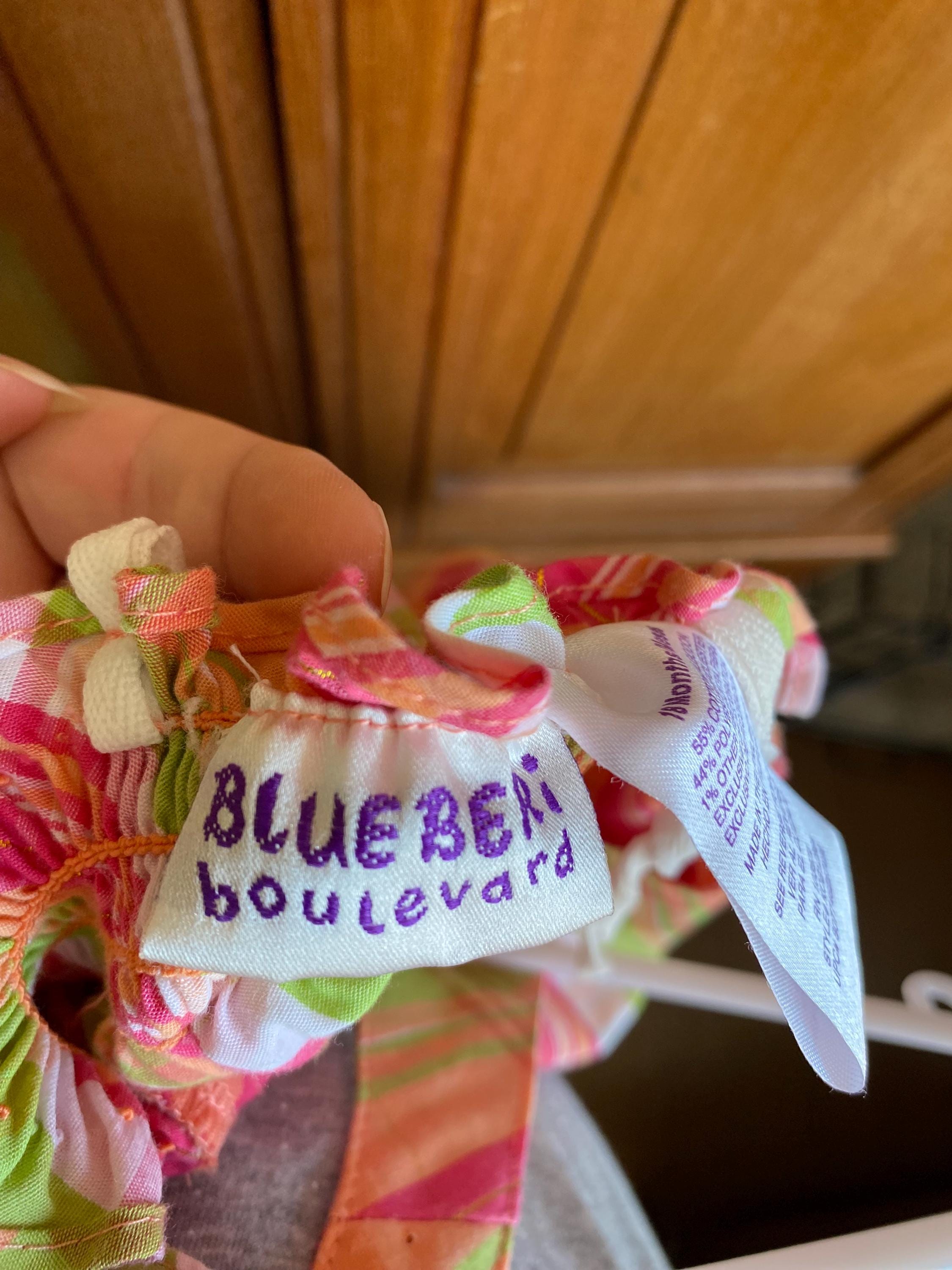 Vintage Blue Beri Boulevard 18 Month Baby Girls Dress With Flowers in ...