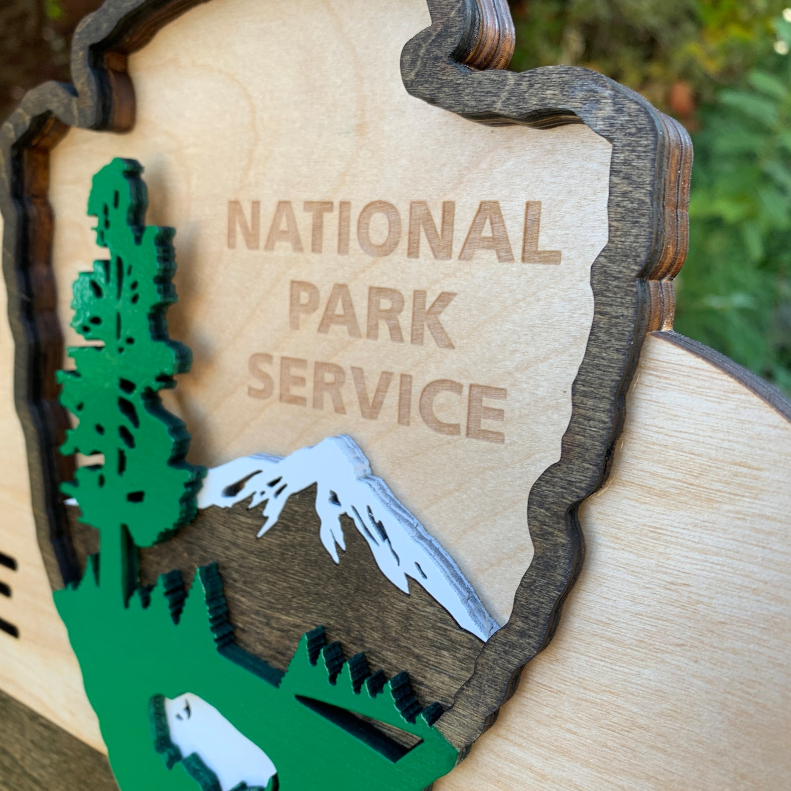 National Park, Last Name Sign, Family Name Sign, Personalized Wood Sign ...