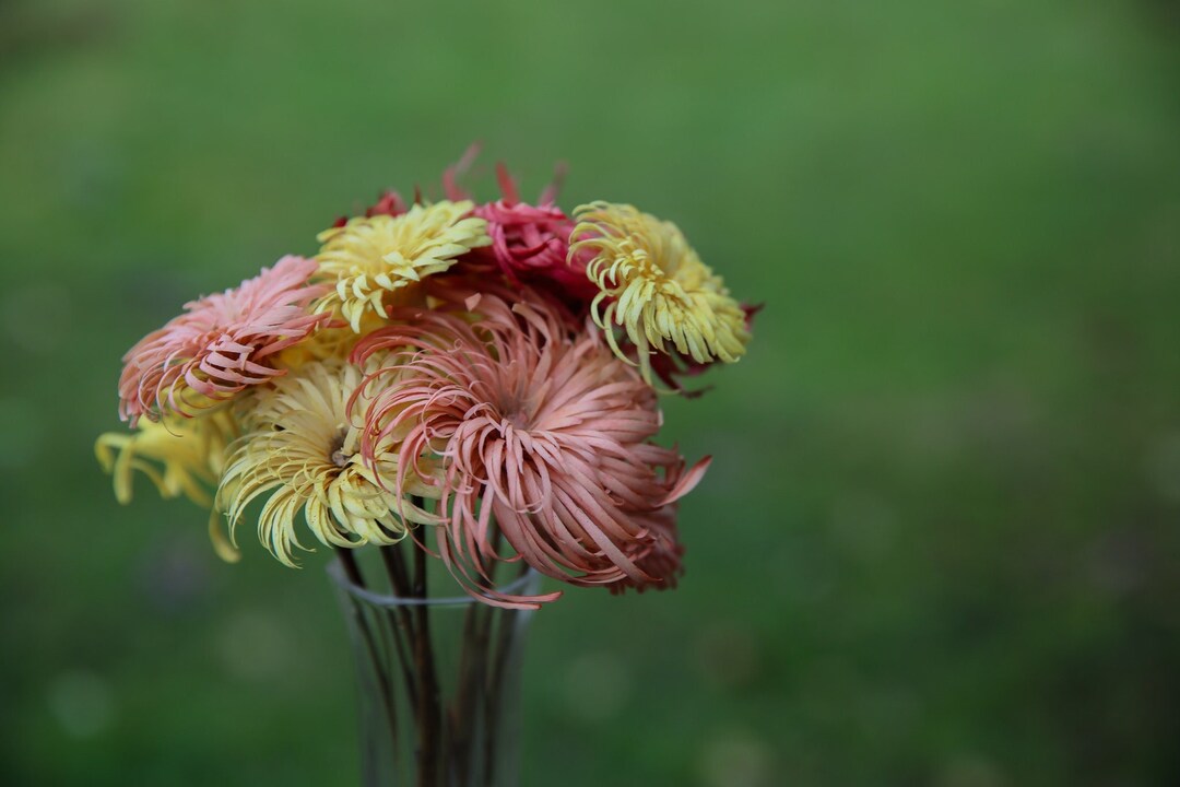 Wooden Flowers carved the Traditional Romani/gypsy Way - Etsy UK
