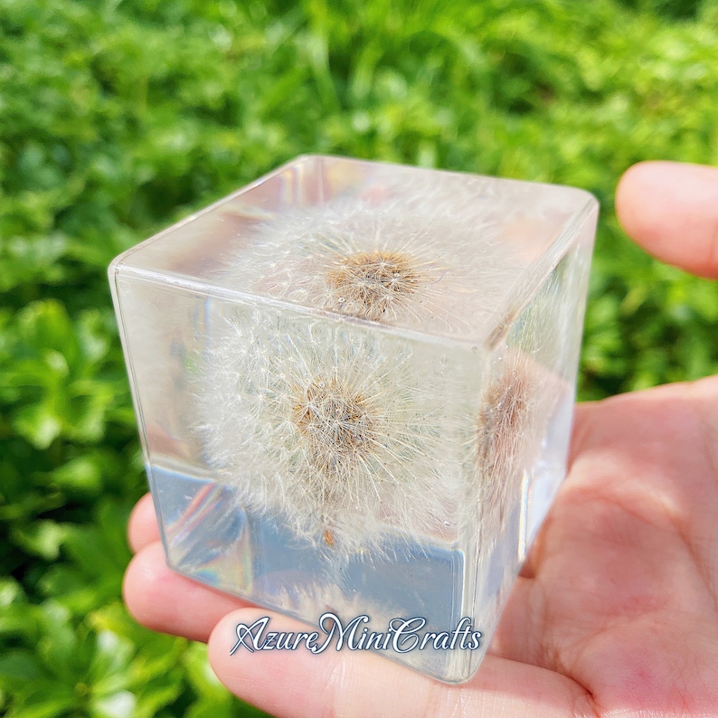 Real Handpicked Dandelion Resin Cube | Paperweight Christmas Gift - Etsy