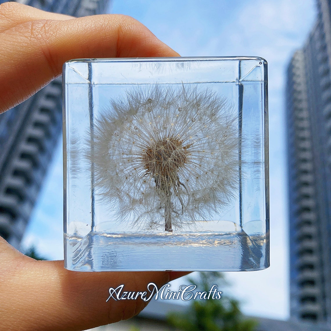 Real Handpicked Dandelion Resin Cube | Paperweight Christmas Gift - Etsy