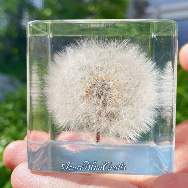 Dandelion Resin - Etsy