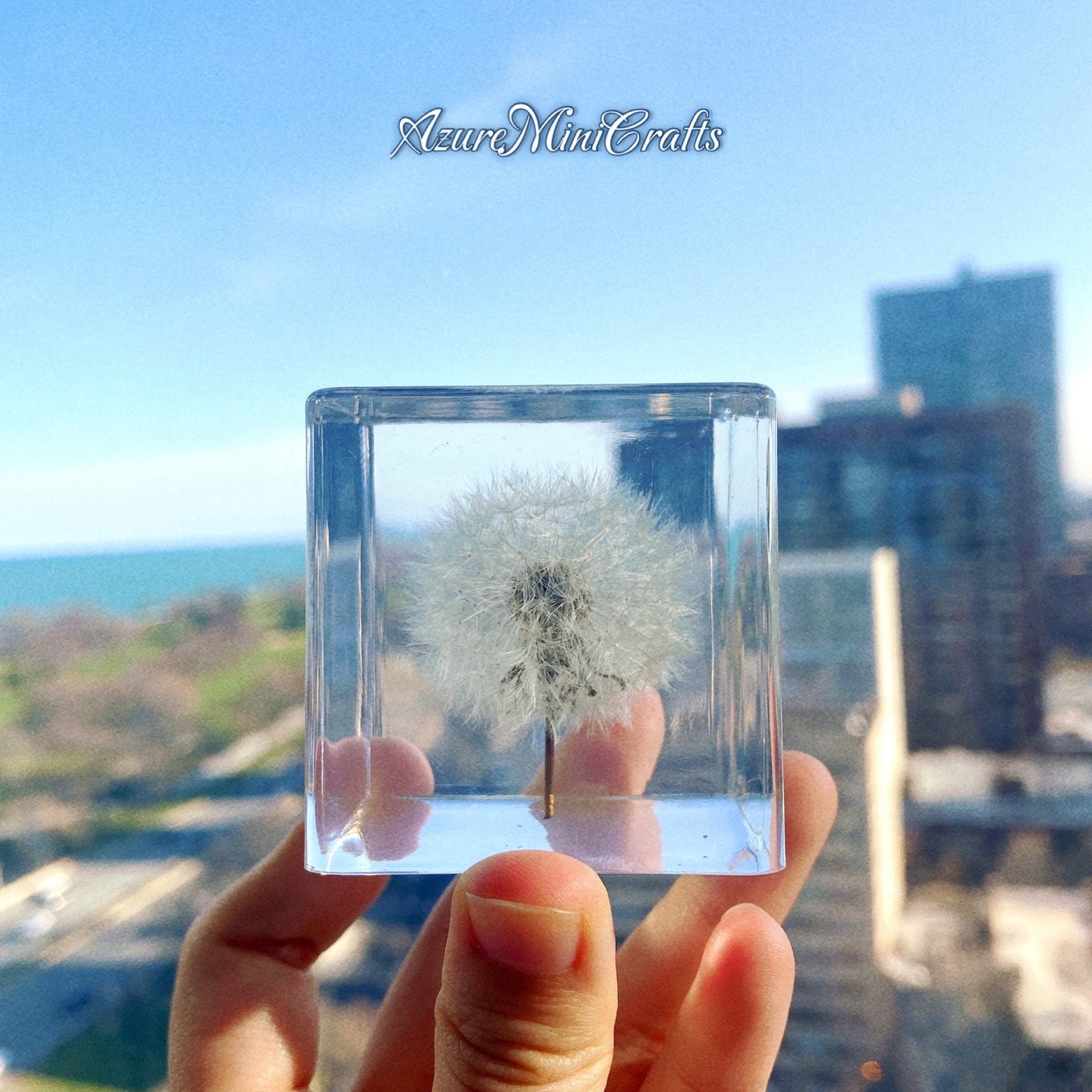 Real Handpicked Dandelion Resin Cube | Paperweight Christmas Gift - Etsy