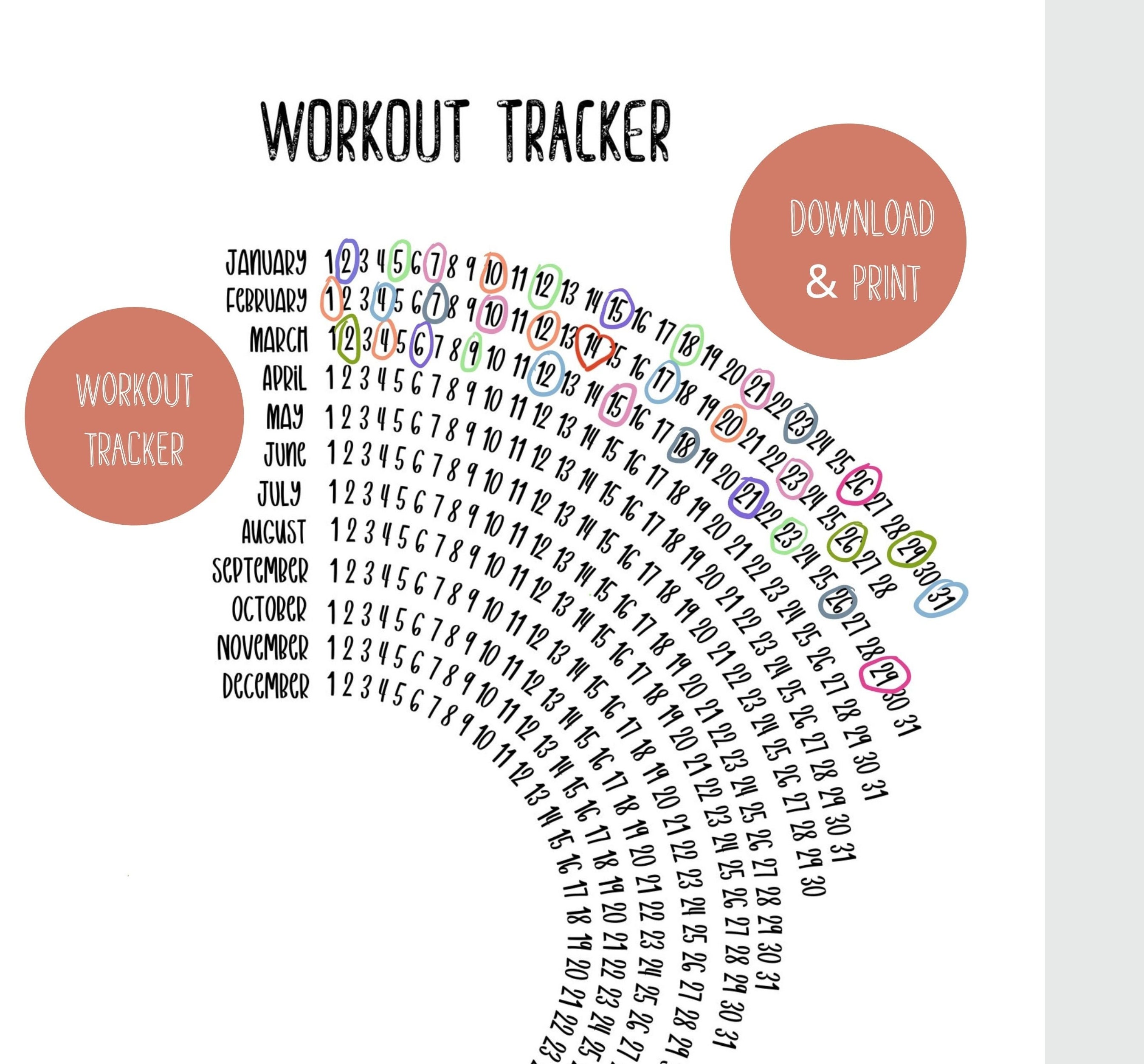 2024 Planner Page Insert Bundle Circular Workout Tracker Daily Weight ...