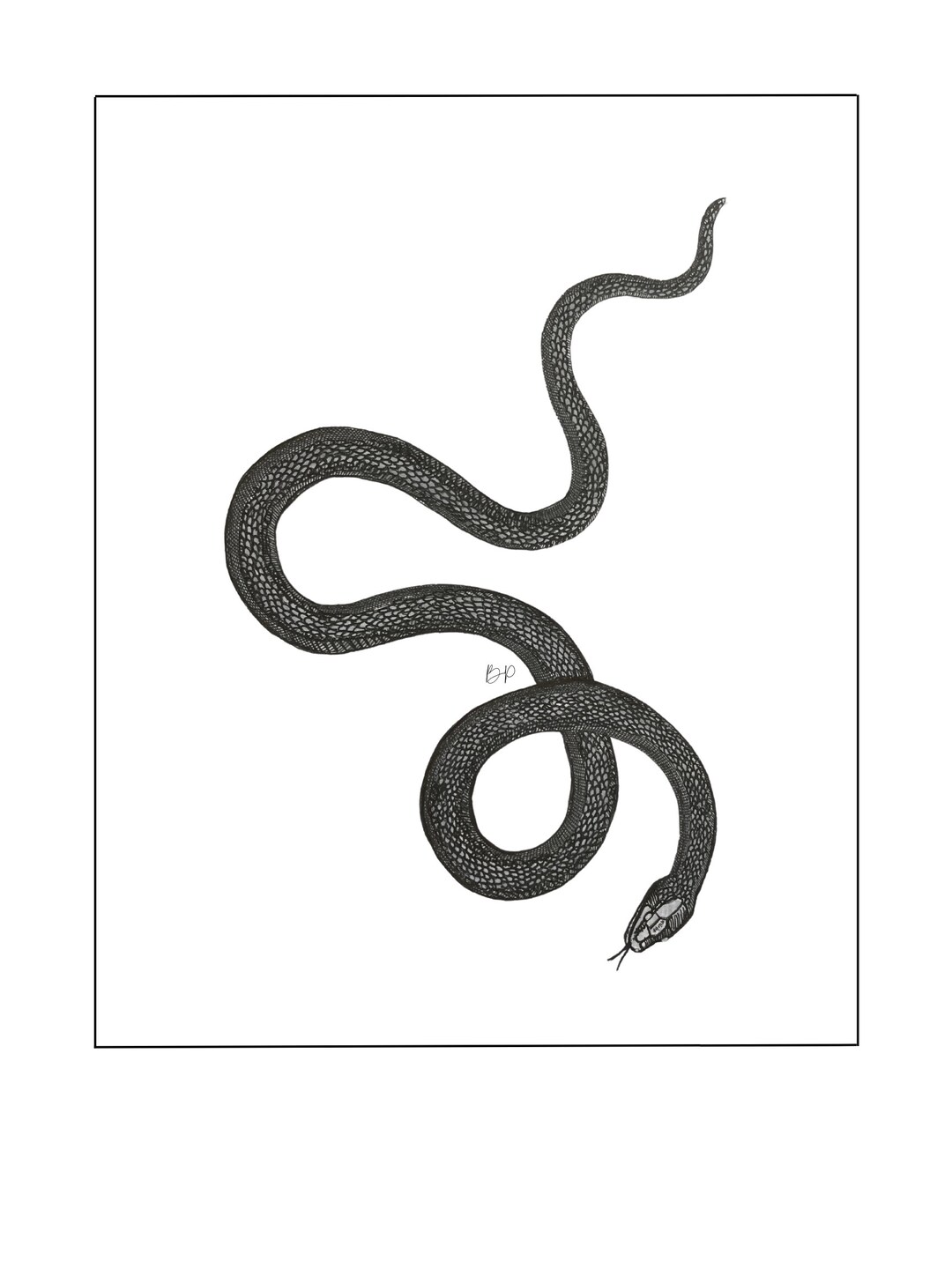 Set of 2 Hand Drawn Snakes - Etsy