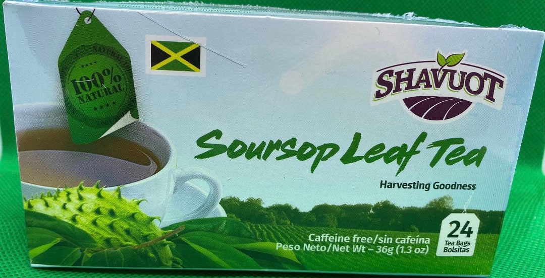 Soursop Leaf Tea. Shavout Soursop Leaf Tea/24 Tea Bags. - Etsy